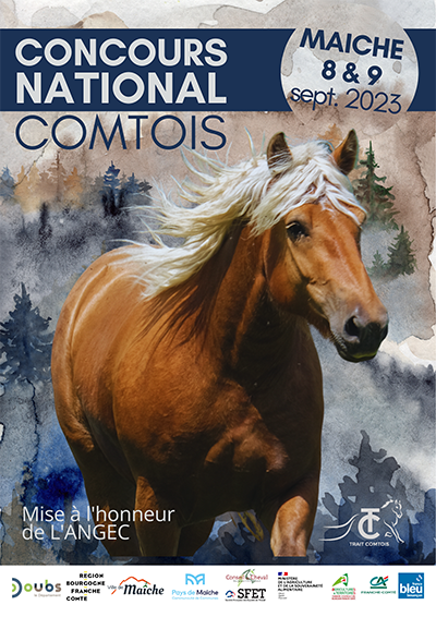 CONCOURS NATIONAL COMTOIS 2023 | Association Nationale du Cheval de ...